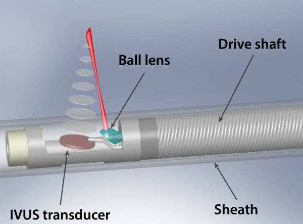 RESEARCH – THE REN LAB